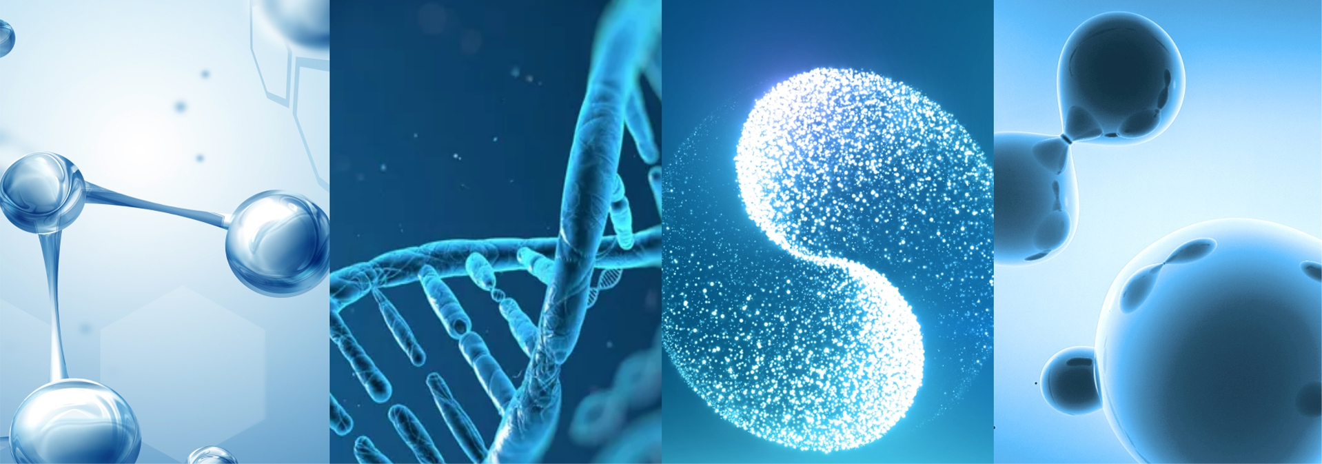 About_IONIC LIQUID DATABASE ——ILTOX